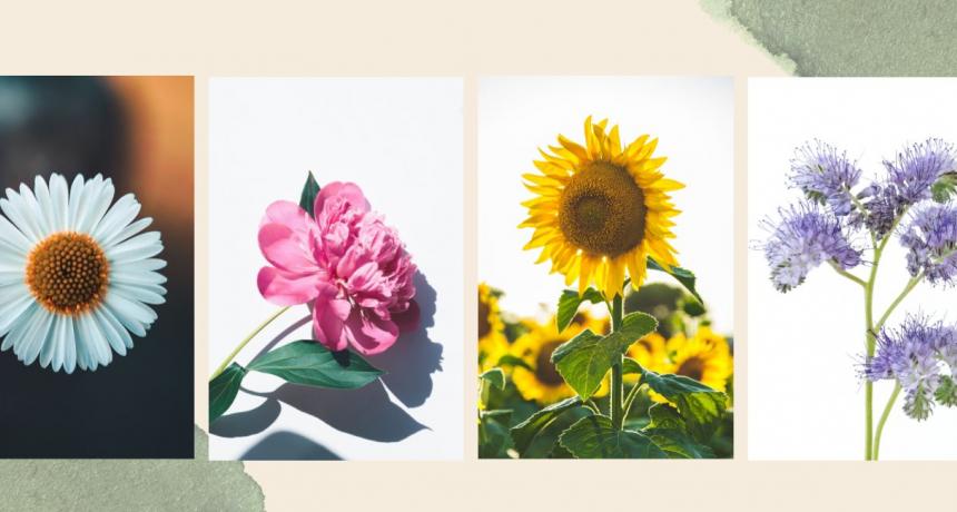 Four Types of Vulnerability and Their Gifts